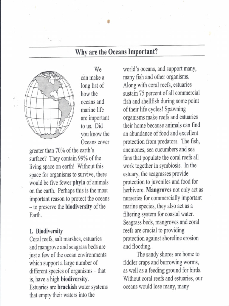 Why Is The Ocen Important | PDF