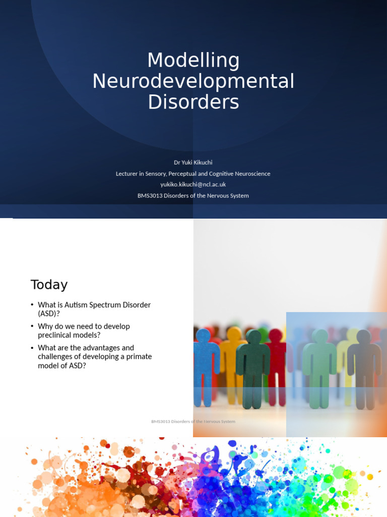 BMS3013+L14 Kikuchi | PDF