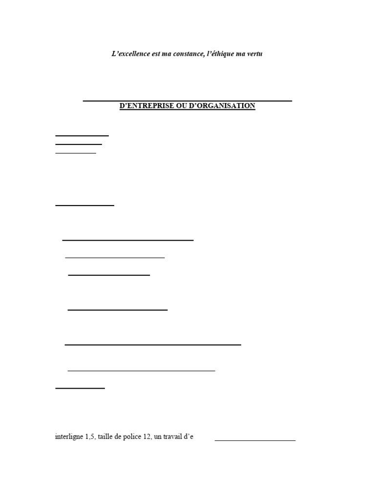 Plan de Rédaction | PDF