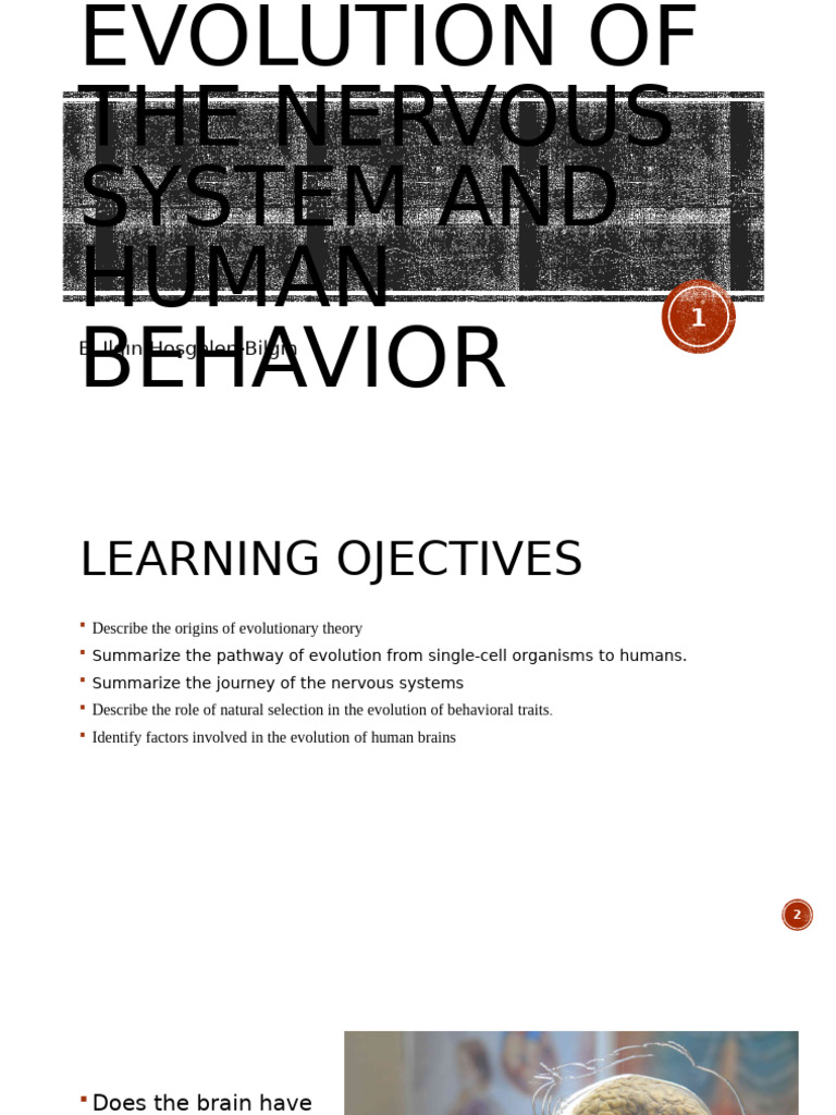 Lecture 1 - Evolution of The Nervous System and Human Behavior | PDF