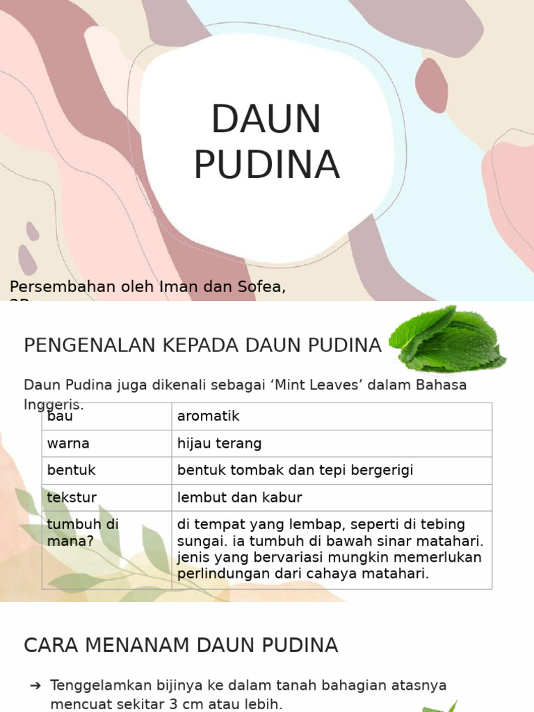Contoh Pembentangan Pelajar | PDF