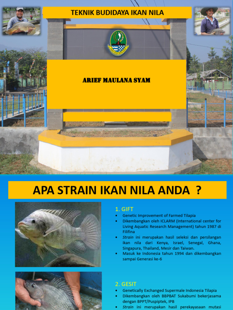 TEKNIK BD NILA 2024 Arif Syam | PDF