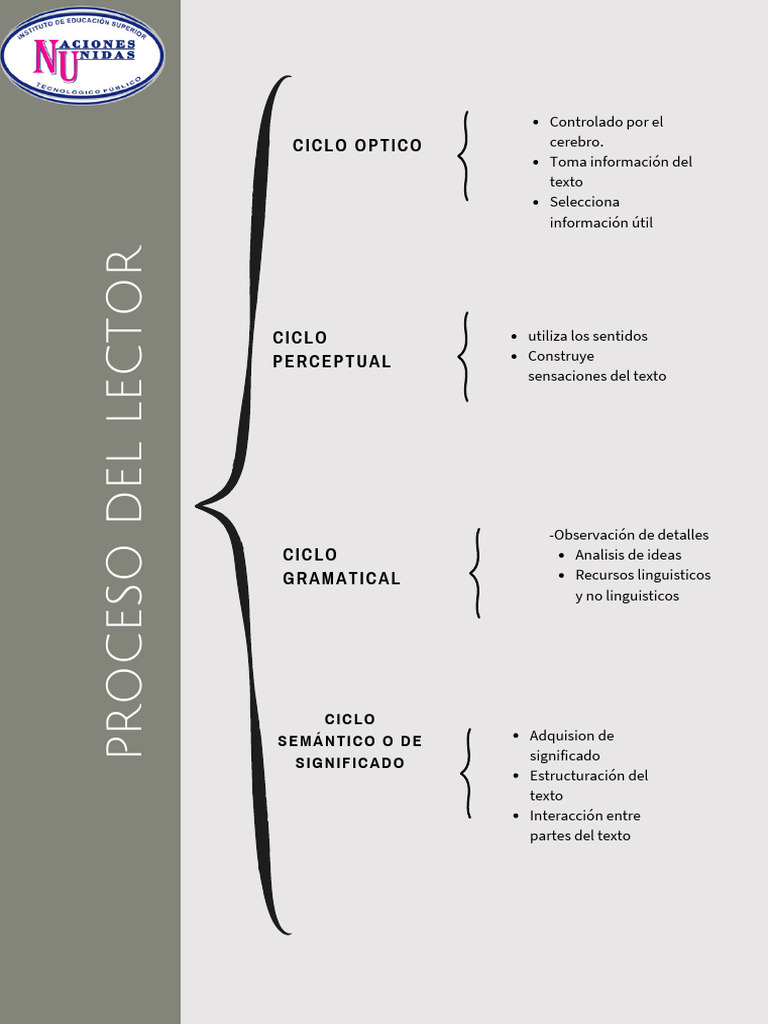 Proceso Del Lector | PDF