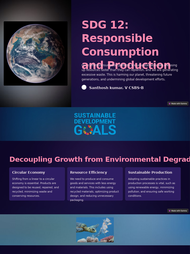 SDG 12 Responsible Consumption and Production | PDF
