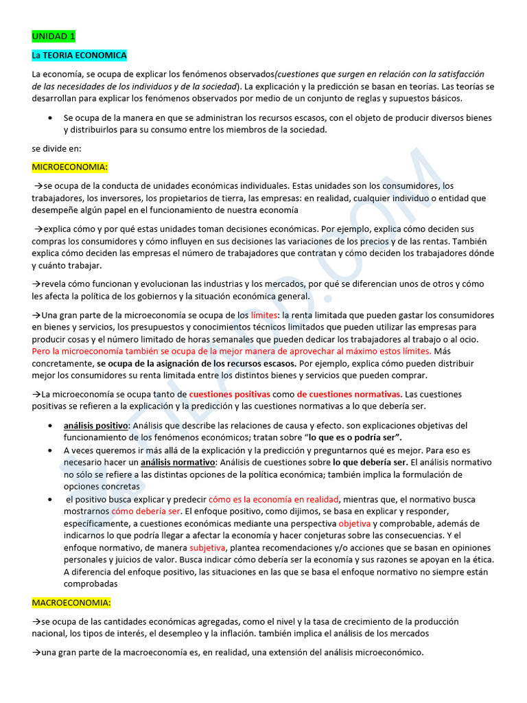 Primer Parcial Micro Resumen | PDF