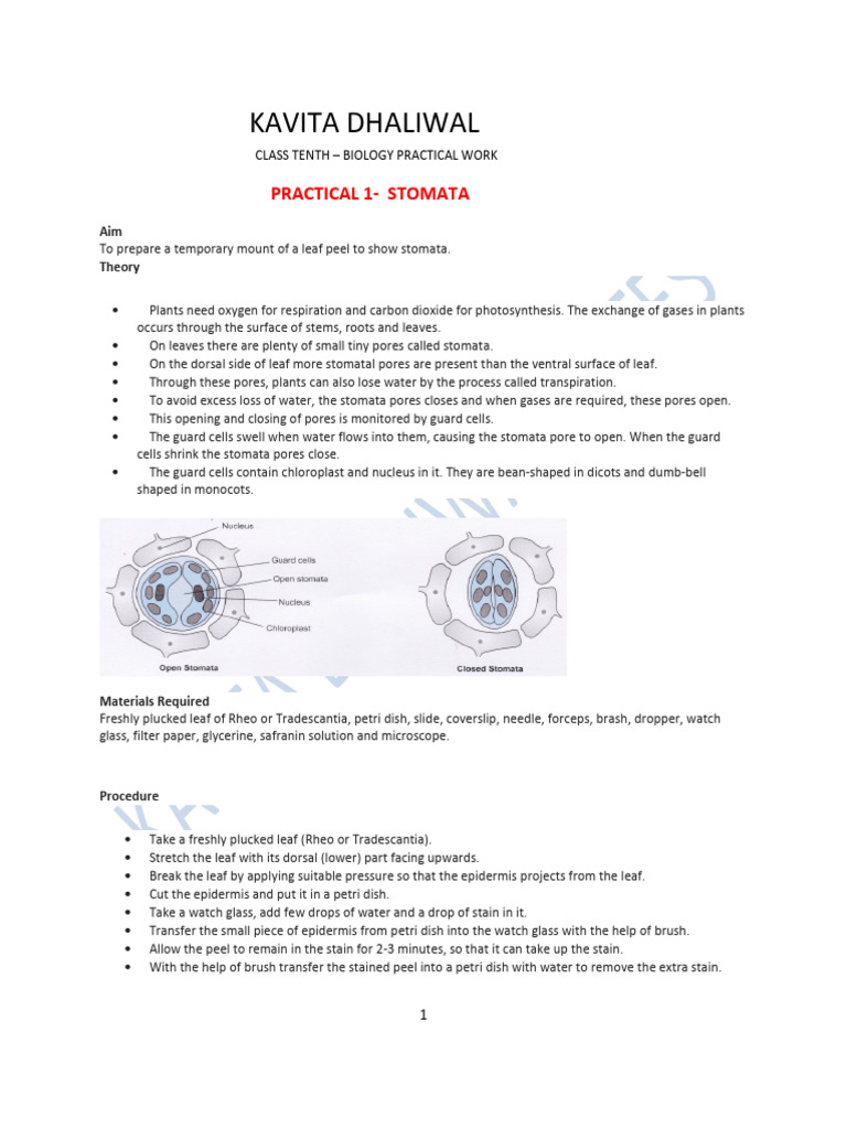 Biology Practical Work Class Tenth | PDF
