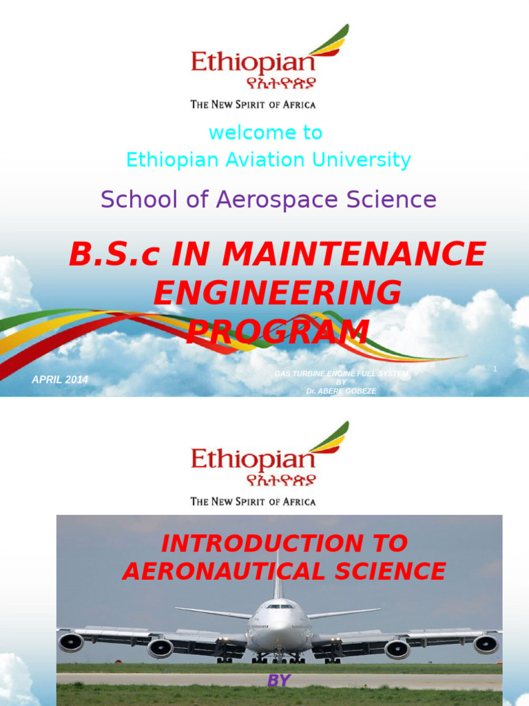 Chapter 2. Aviation & The Airline Industry | PDF