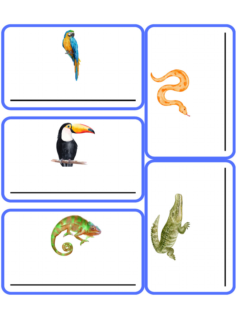 Flash Cards Animais | PDF