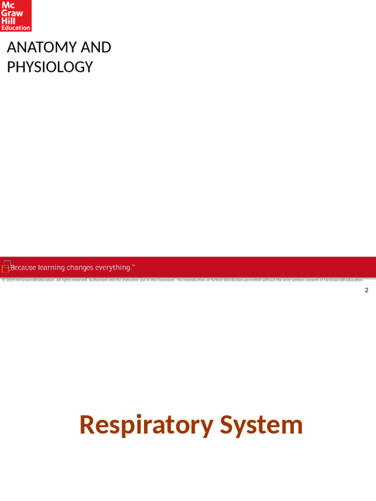 Anatomy and Physiology of Respiratory System Powerpoint | PDF