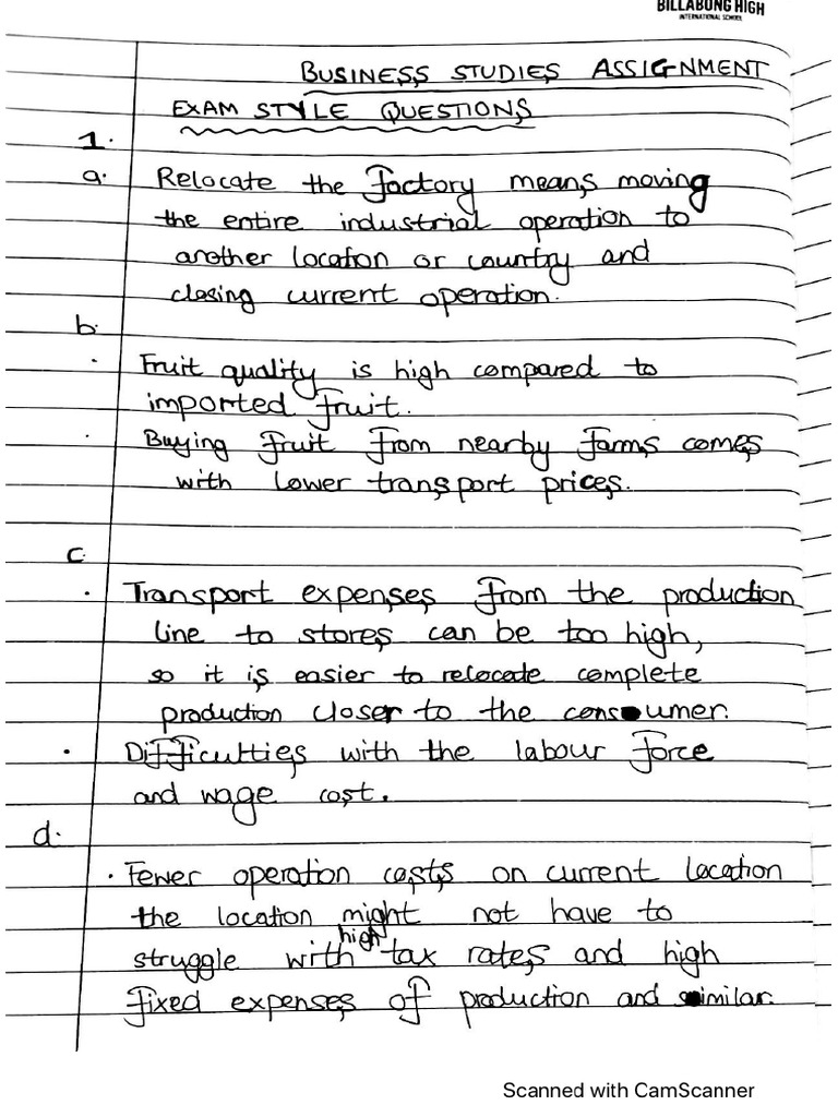 Business Studies Assignment | PDF