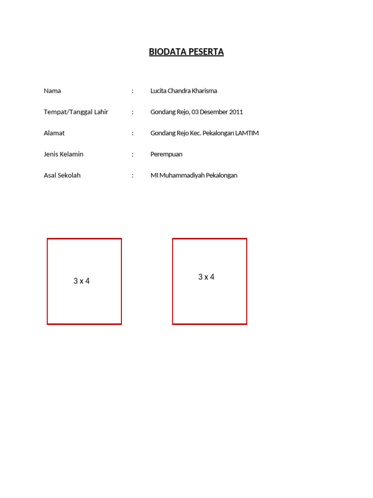 Biodata Peserta | PDF