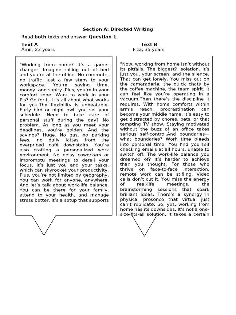 Working From Home | PDF