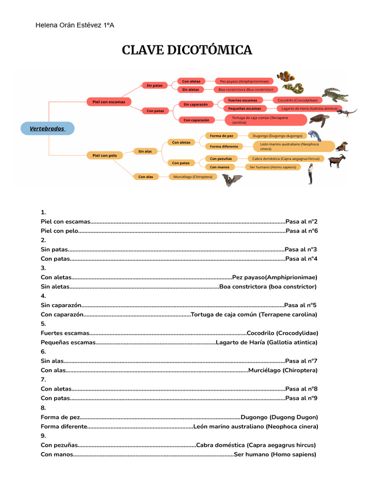 Clave Dicotómica | PDF