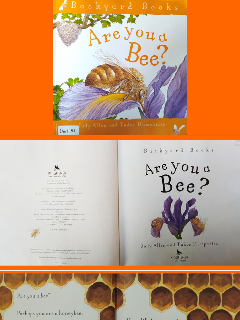 Are You A Bee | PDF