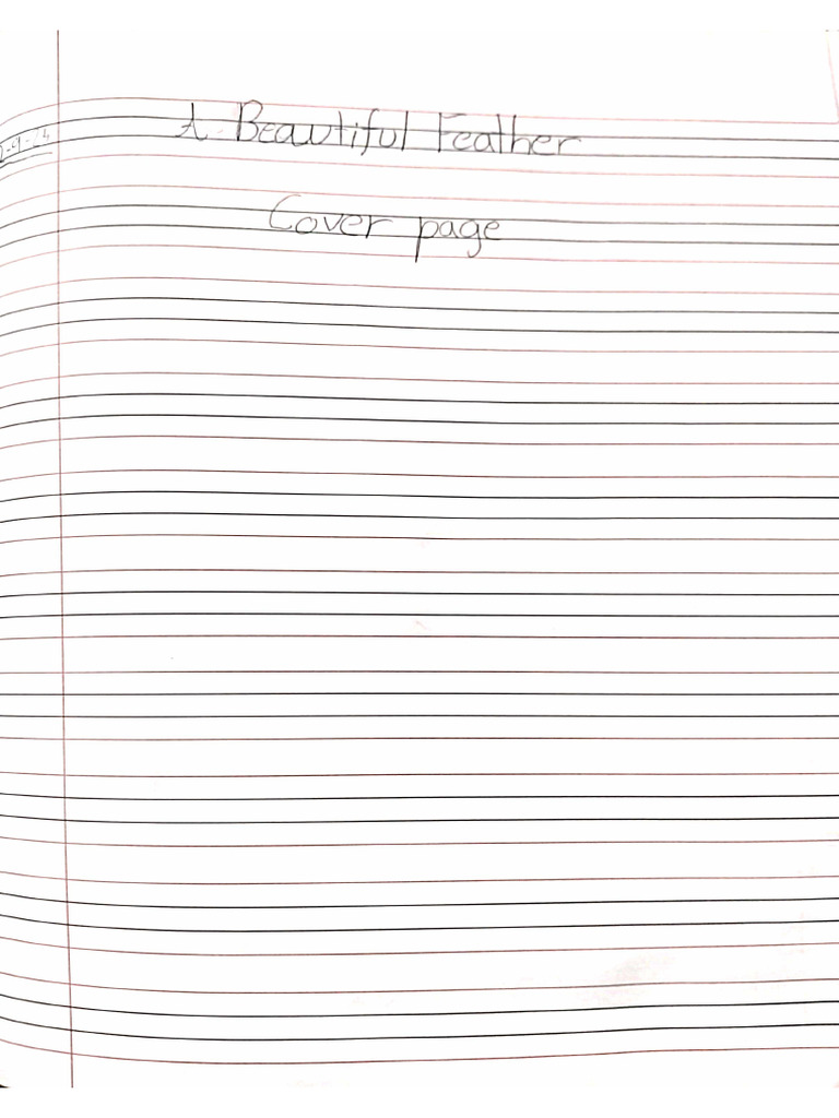 A Beautiful Feather Notebook | PDF