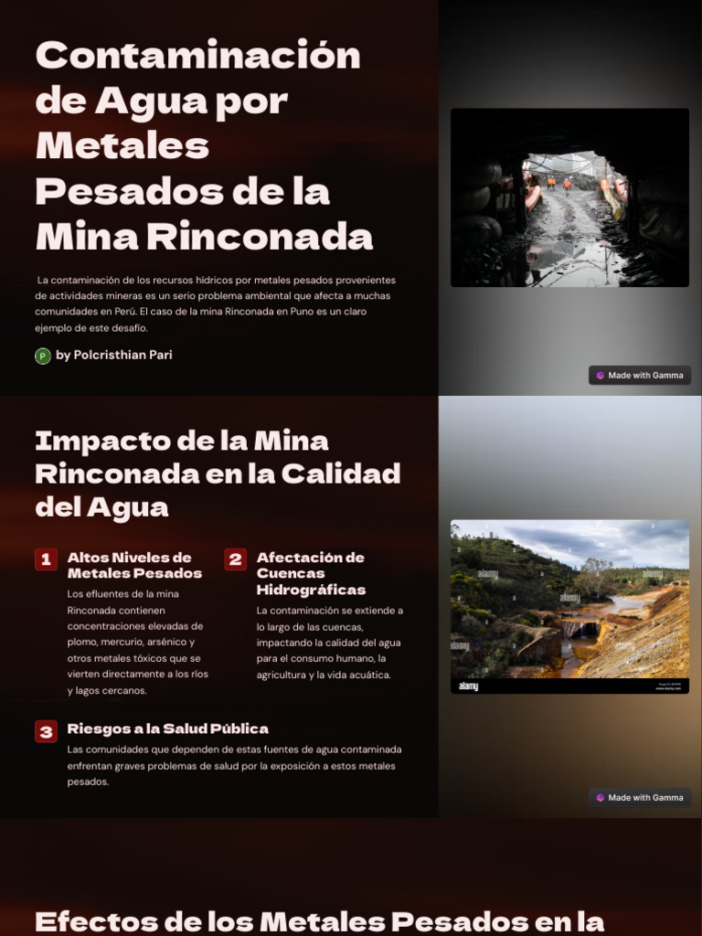 Contaminacion de Agua Por Metales Pesados de La Mina Rinconada | PDF ...