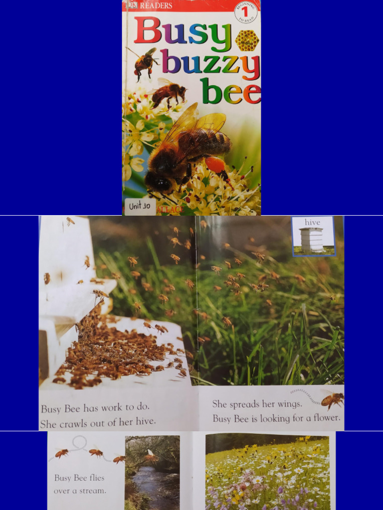 Busy Buzzy Bee | PDF