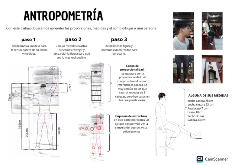 Antropometr A 3 | PDF