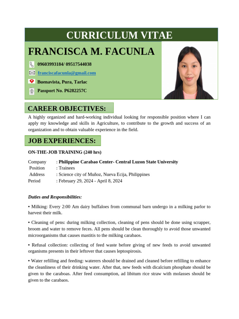 Curriculum Vitae Francisca | PDF