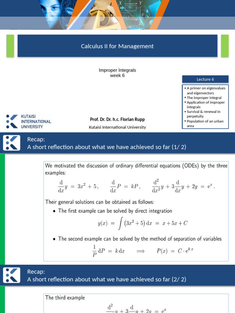 06 Improper Int | PDF
