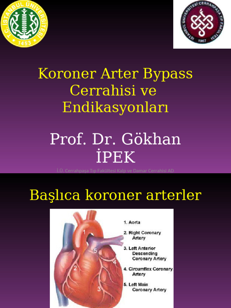 CABG | PDF