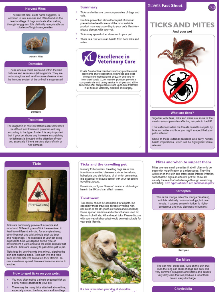 Tick Leaflet FINAL - Scissored | PDF