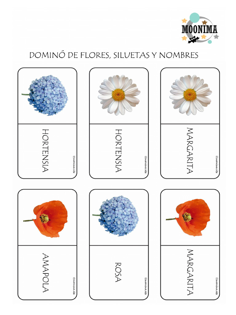 Domino Flores Siluetas y Nombres | PDF