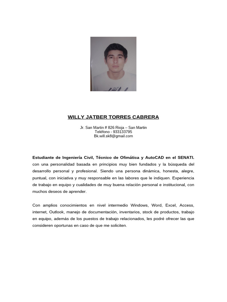 CV Willy | PDF