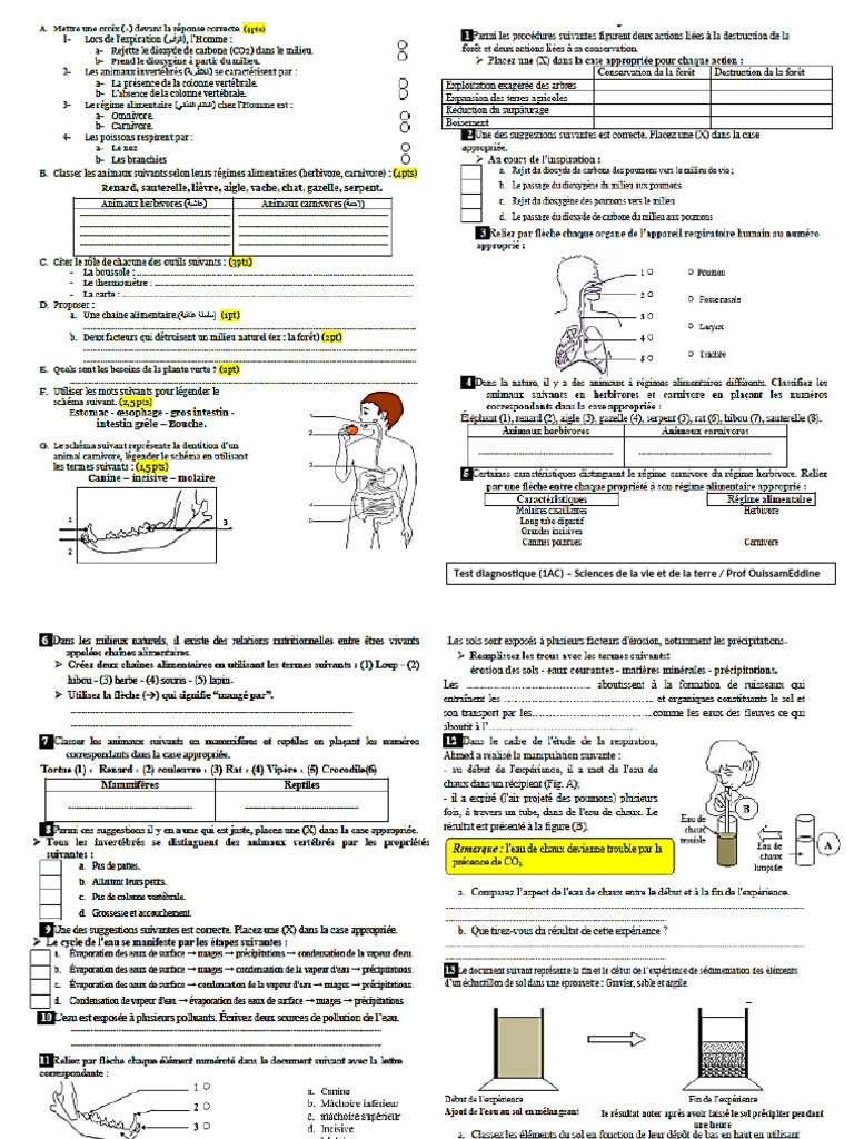 Test Diagnostique 1AC - SVT | PDF