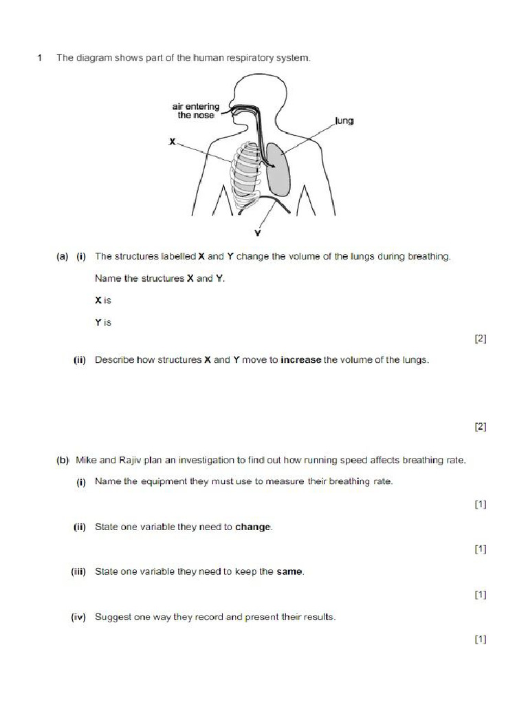 MYP Science Mock 21 (Ar) | PDF
