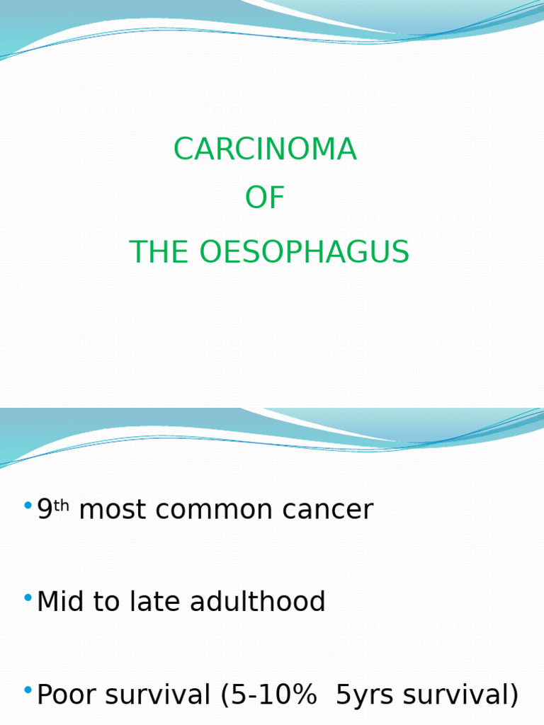 CAE Topic Discussion | PDF