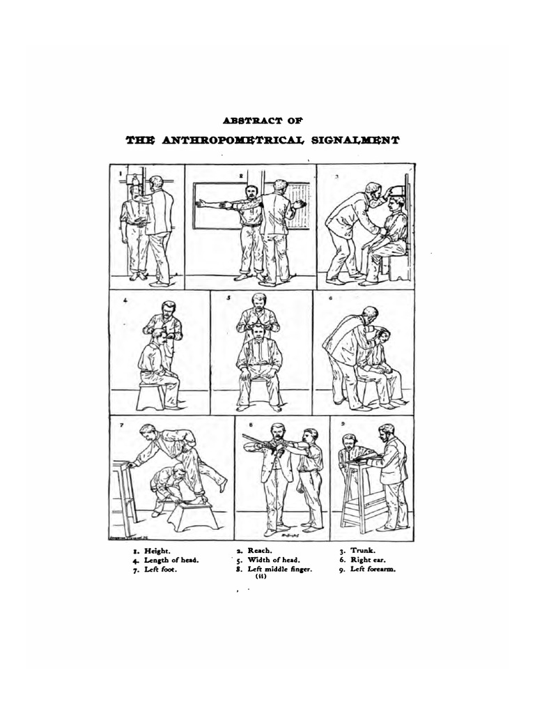 The Anthropometrical Signaletic 1896 | PDF
