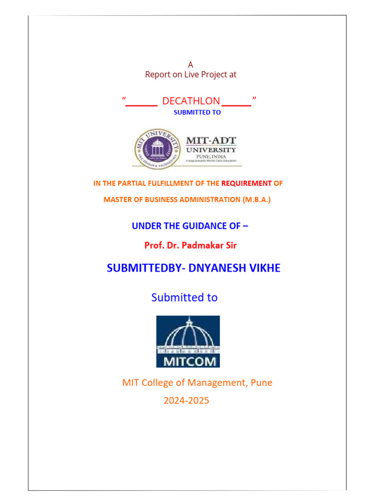 Live Project Report | PDF
