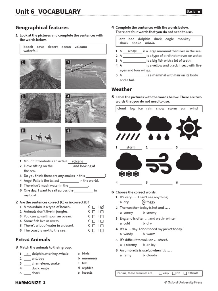 Harmonize 1 TRM Unit 6 Vocab Grammar Worksheets | PDF