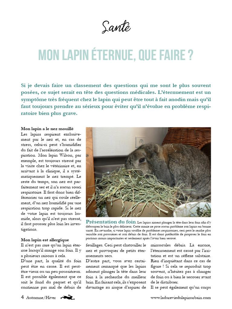 Article Eternuement | PDF