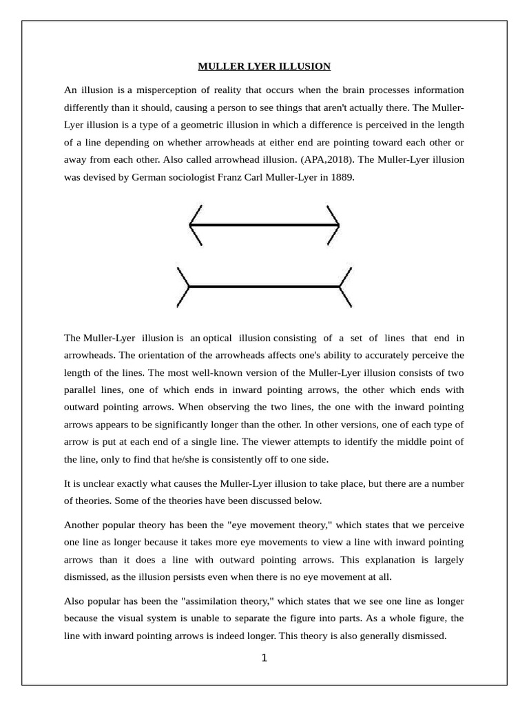 Muller Lyer Illusion | PDF