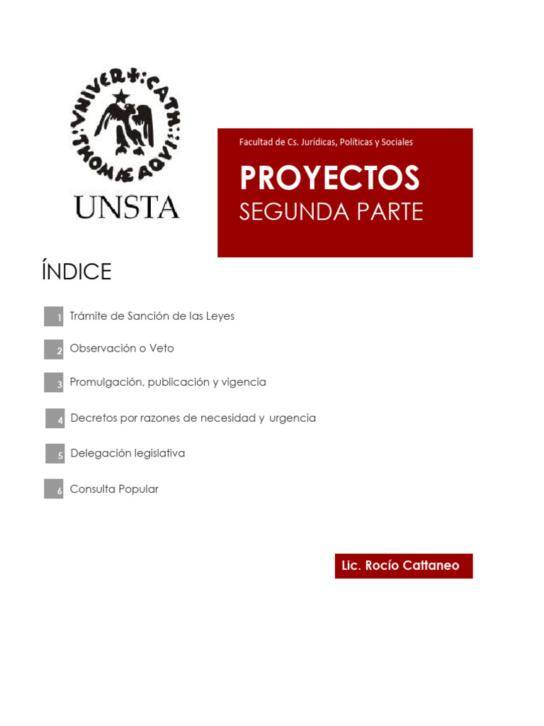 Proyectos 2 | PDF