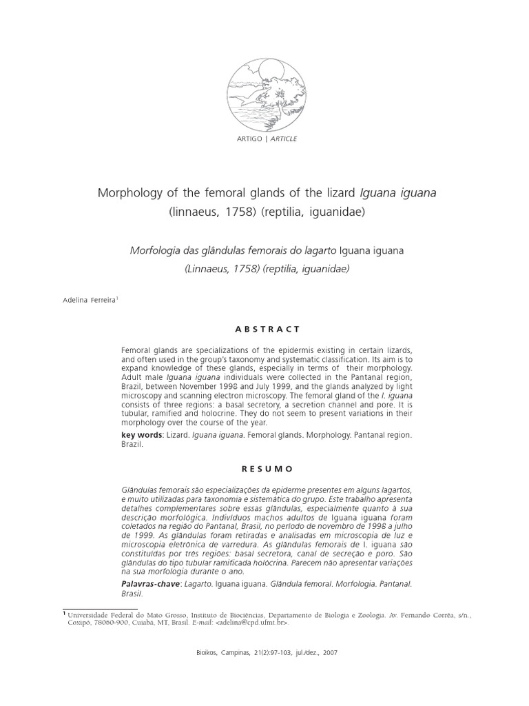Morphology of The Femoral Glands of The Lizard Iguana Iguana | PDF