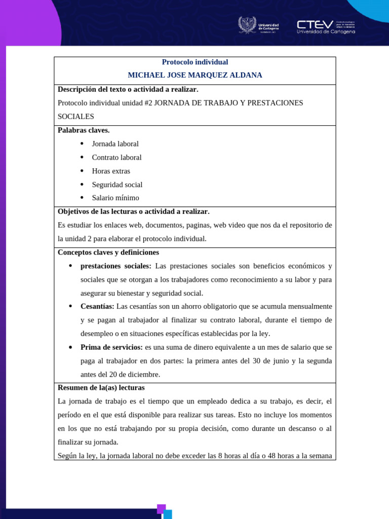Plantilla Protocolo Individual | PDF