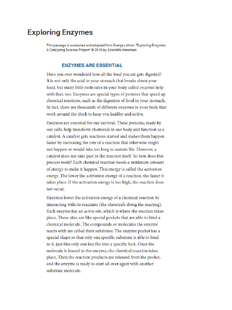 Enzymes Lab Prep Pdf