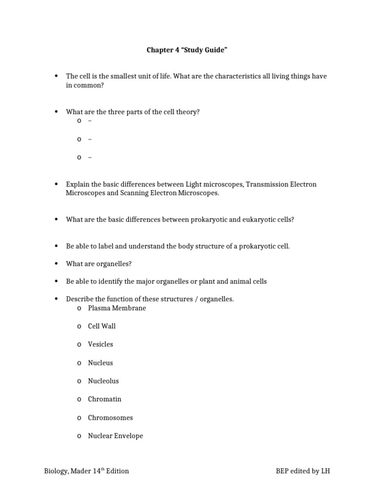 Chapter 4 Study Guide | PDF