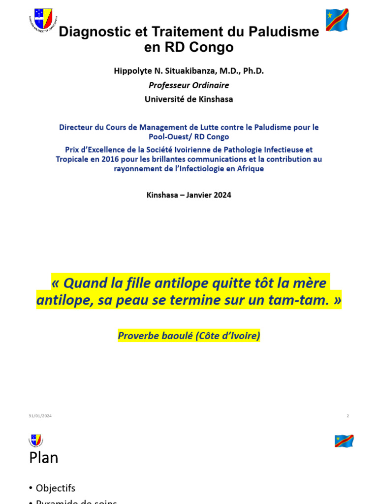 Diagnostic Traitement Paludisme RDC | PDF