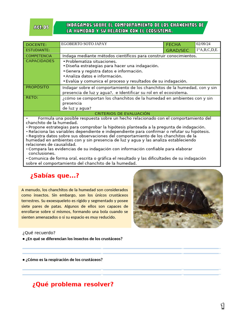 D-1º Act 5 Cyt Und 4 - Sem 4 | PDF