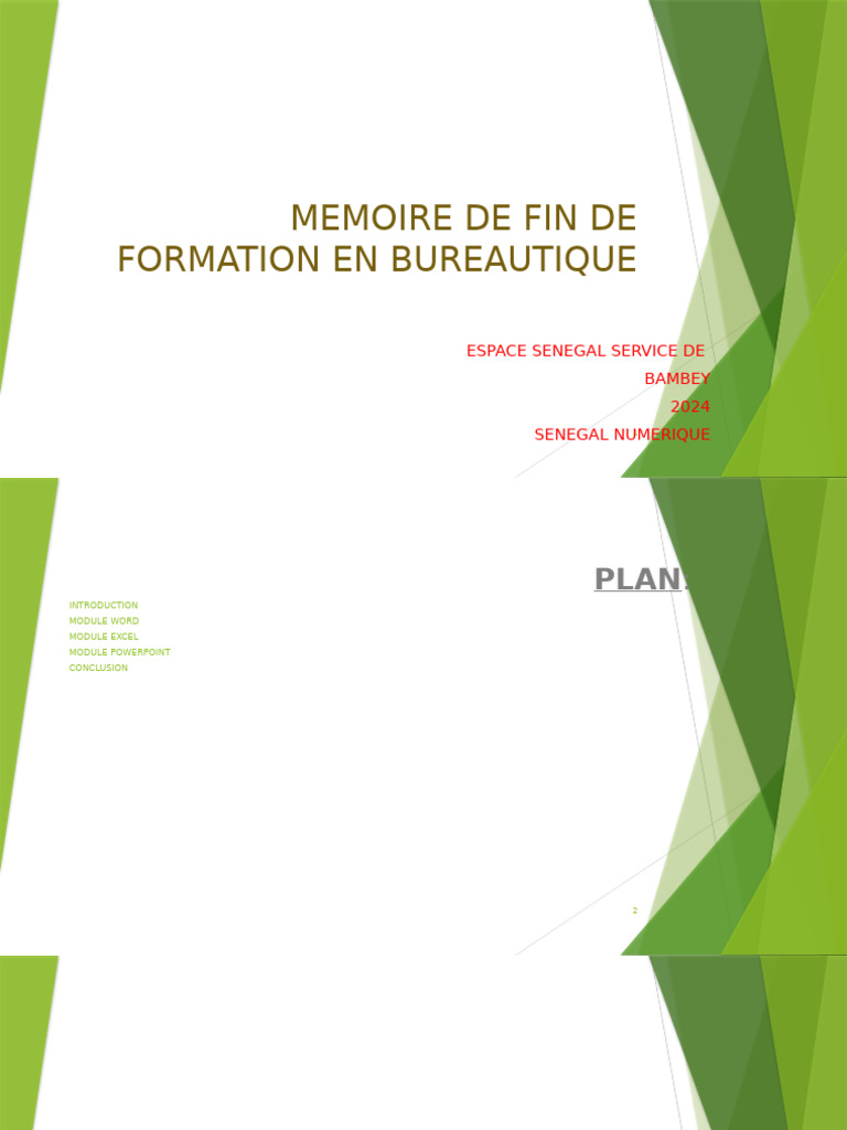 Memoire de Fin de Formation en Bureautique | PDF