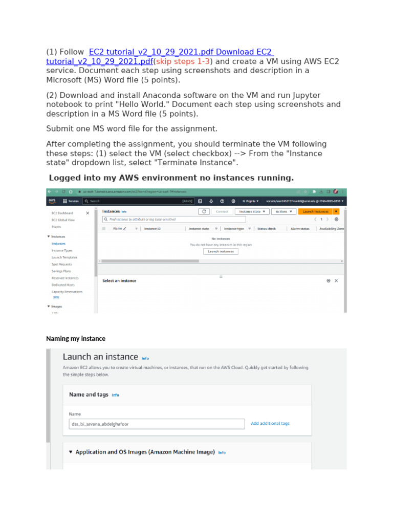 M11 - Assignment 1 | PDF