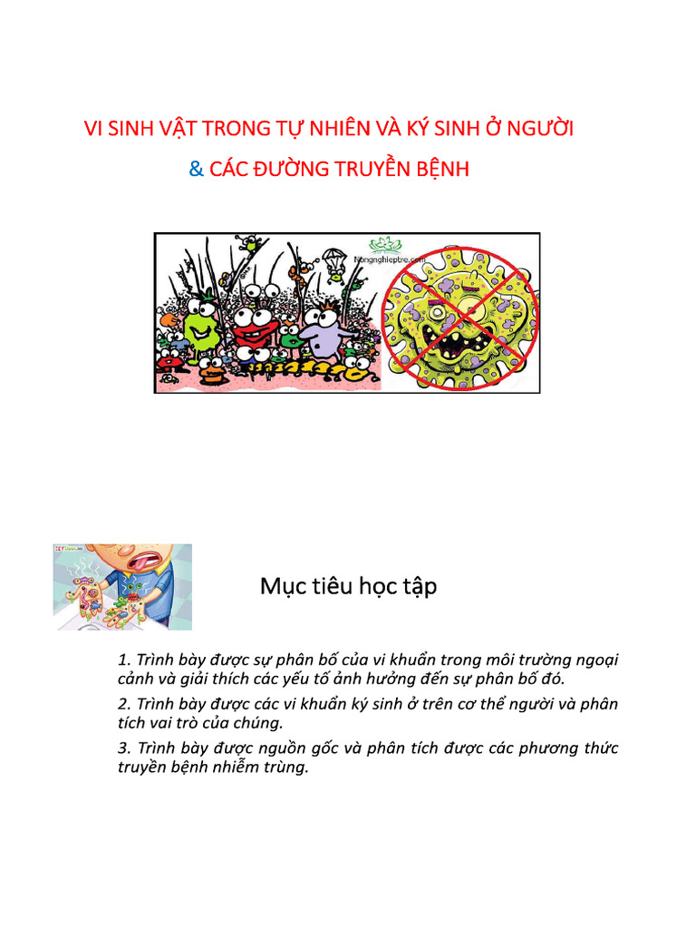 Vsv Trong Tự Nhiên Và Ký Sinh ở Người, Các Đường Truyền Bệnh | PDF