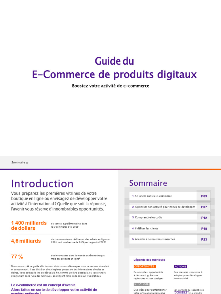 Guide Du Ecommerce de Produit Digitaux | PDF