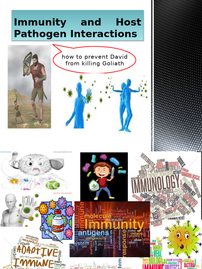 Cellular Immunity | PDF