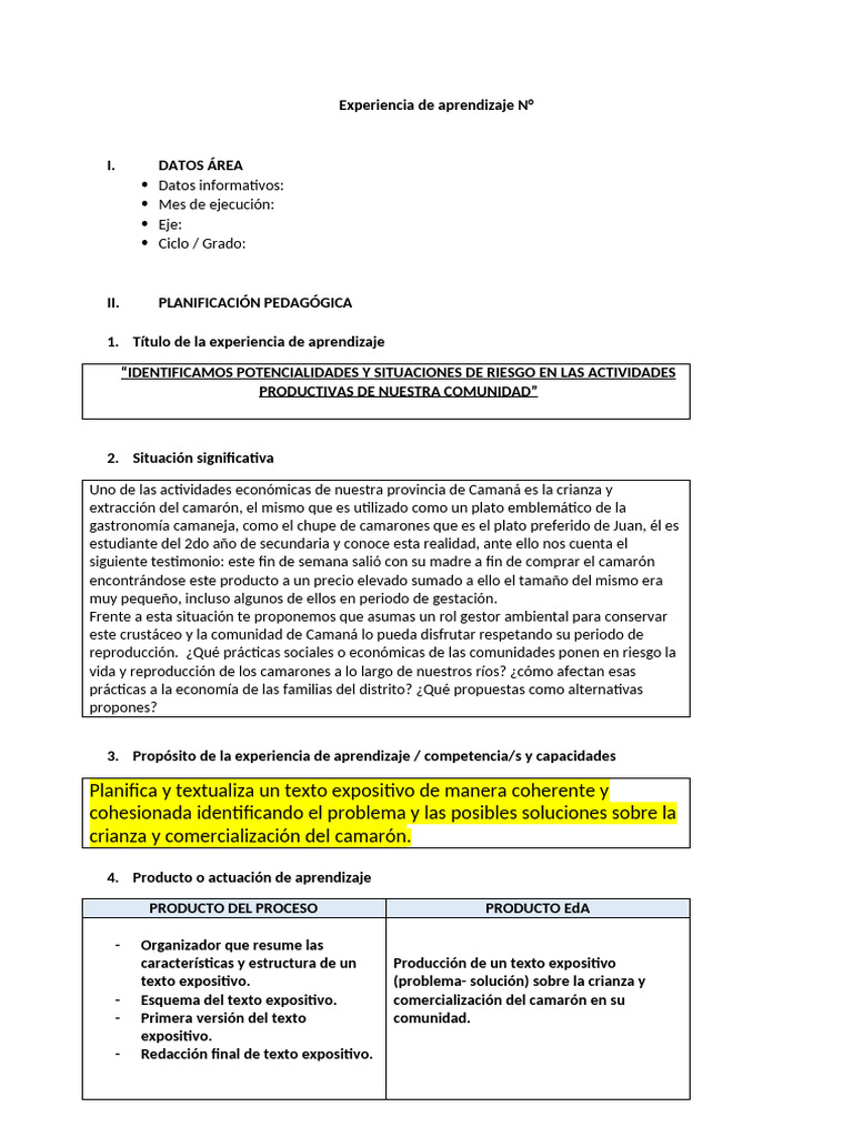 Esquema Experiencia de Aprendizaje-1 | PDF