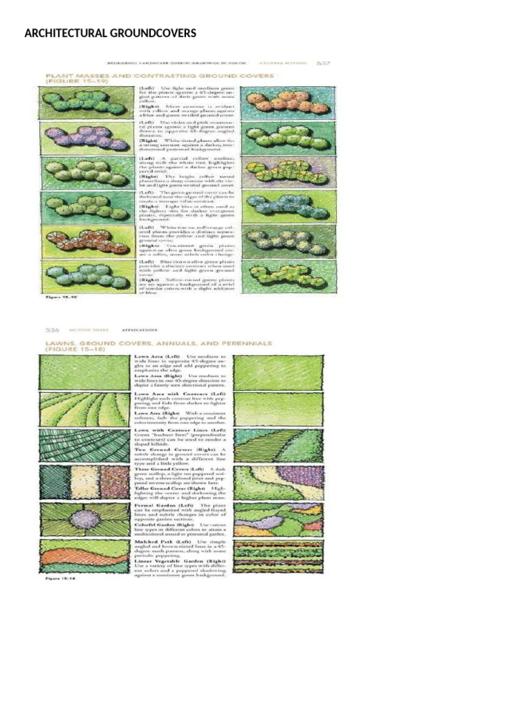 ARCHITECTURAL Entourage - Landscaping Elements | PDF